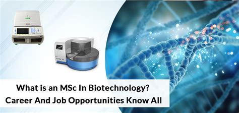 What Are The Career Options After Doing Msc In Biotechnology