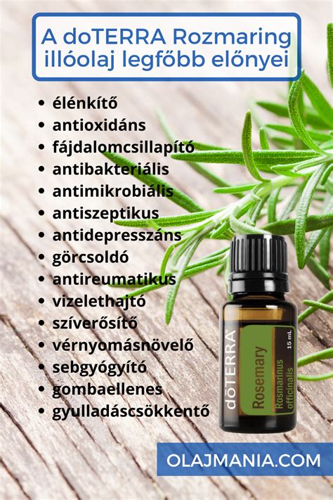 Doterra rozmaring rosemary – Artofit