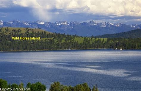 Flathead Lake Enjoy Your Parks