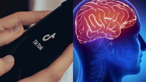 Qué Es El ‘doomscrolling Y Por Qué Te Está Encogiendo El Cerebro