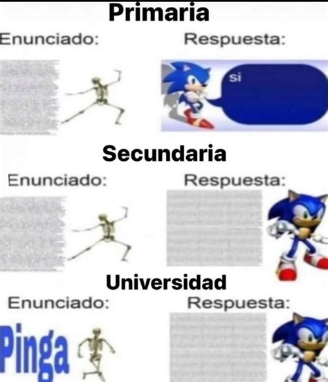 Pinga Rhuestation