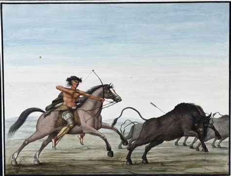 Indian Hunting Arrows