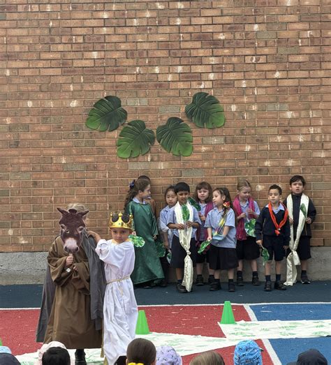 Week 10 Term 1 2026