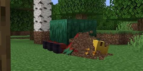 Minecraft Things You Need To Know About Sniffers