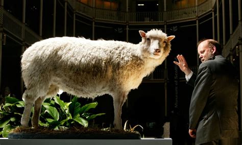 Scientific Legacy Of Dolly The Sheep Remembered 20 Years