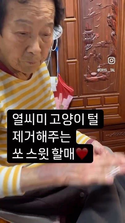 평생토록 다정한 할머니 Youtube