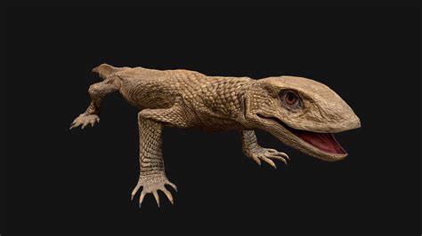 Varan Lizard Reptile Monster 3d Model By Dereza