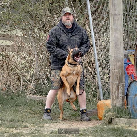 Some Amazing Photos For Dandp 2025 Survival From Danielle Greenhill Bull