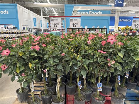 Sams Club Secaucus Nj