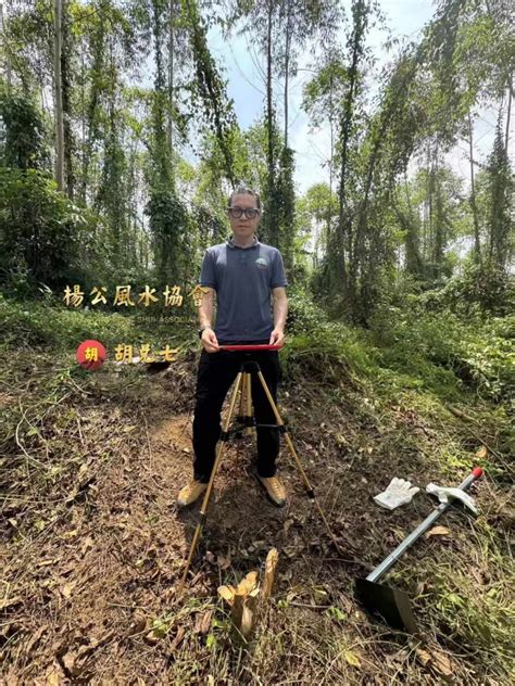 今天眠牛归栏点中正穴，江门又少一块留题地，福主有福气，先生靠眼力，此地明年来做生基 楊公風水協會