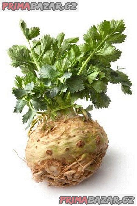 Celer Maxim Semena Sbazar Prostějov Bazoš Cz