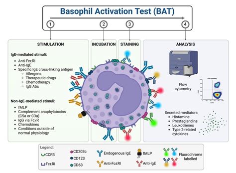 Histamine Research Society Europe Hrse