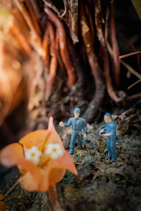 Tiny Explorers Are Inspecting Large Flowers Stock Image Image Of Grow