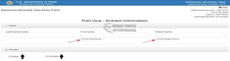 Electronic Diversity Visa Entry Form 2023 Printable Forms Free Online