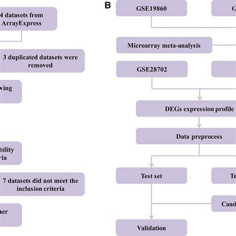 A Flow Diagram Of Datasets Screening And Selection B Flow Diagram Of