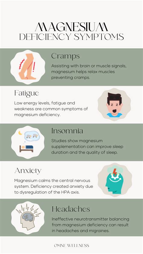 Choosing The Right Magnesium Supplement A Guide To Different Types