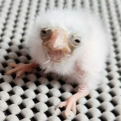 Stream Malachi Jackson Music Listen To Songs Albums Playlists For