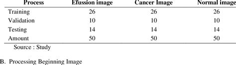Lung X Ray Image Dataset Specification For Cnn Classification Process