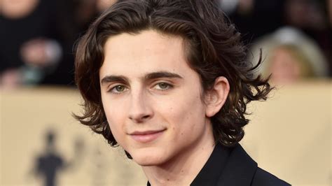 Timothée Chalamet 16 Facts About The Wonka Star