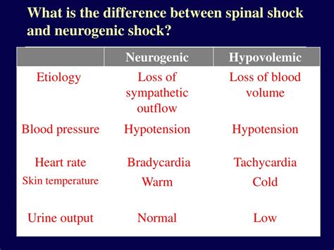 Ppt Spinal Cord Injuries Powerpoint Presentation Free Download Id