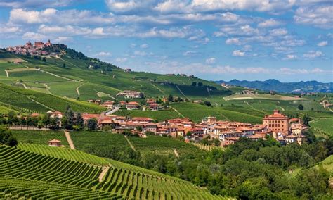 Wine Shop In Alba Italy At Mia Hartnett Blog
