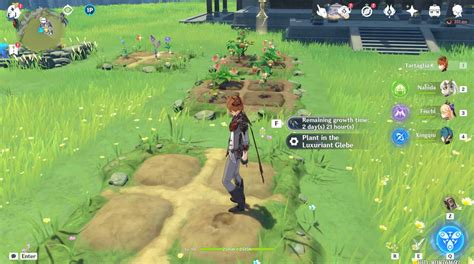 Violetgrass Genshin Impact Guide Genshin Chronicle