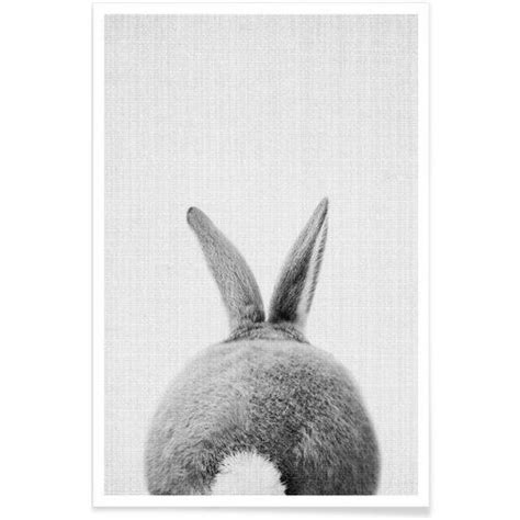 Wall Mural Juniqe Size 90cm H X 60cm W Monochrome Photograph Animal