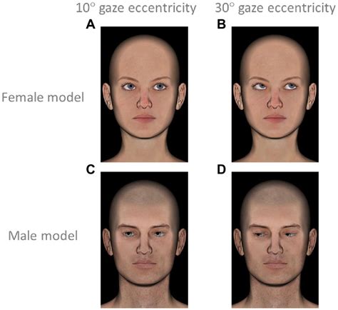 Frontiers Gaze Direction As A Facial Cue Of Memory Retrieval State
