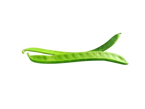 Canavalia Gladiata Sword Bean Is Used As Vegetables And Inflammatory Diseases And Atopic