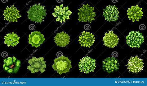 Top View Green Bushes Shrubs And Trees Set Architectural Botanical