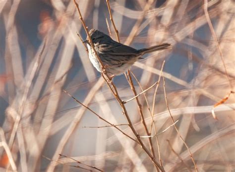 Faithatwork Leadership Personaldevelopment Growthmindset Resilience Wellbeing