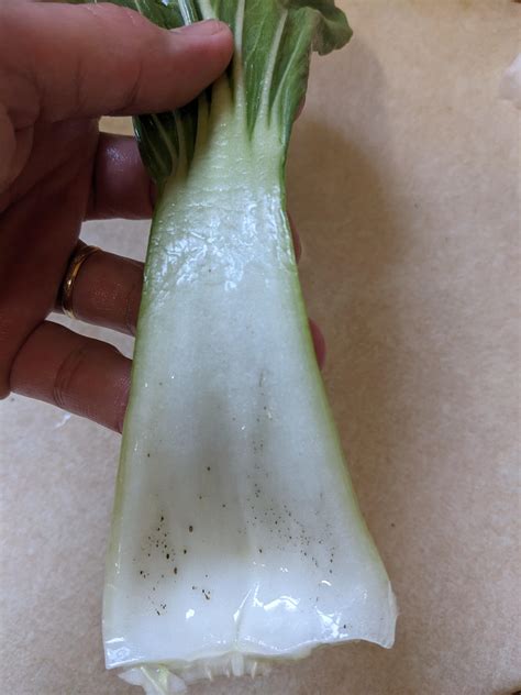 Black Spots On Pak Choi Rfoodsafety