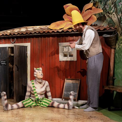 Pettson And Findus Funnys Äventyr