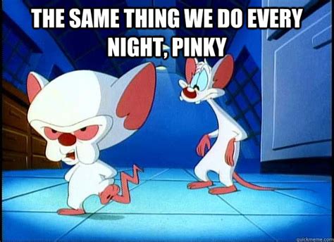 The Same Thing We Do Every Night Pinky Misc Quickmeme