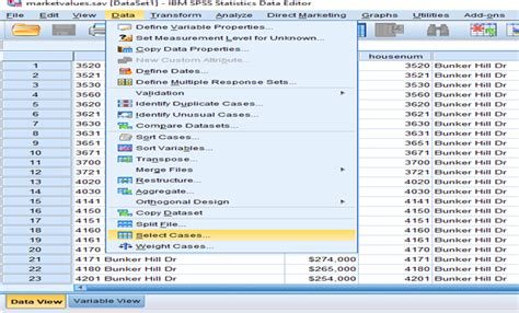 Case Summary Analysis With Ibm Spss