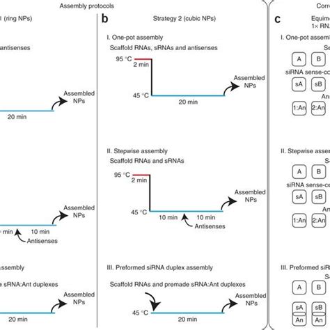 Schematic Representation Of Three Different Cassette Based Assembly