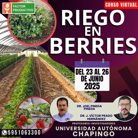 Factor 🫐curso En Línea 𝐑𝐢𝐞𝐠𝐨 𝐞𝐧 𝐁𝐞𝐫𝐫𝐢𝐞𝐬 Veremos Equipos De Bombeo