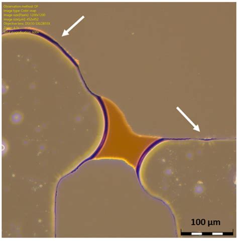 Design Fabrication And Experimental Validation Of Microfluidic