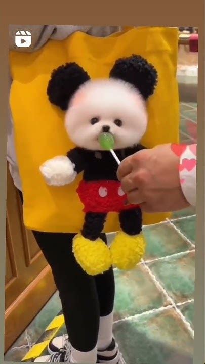 سگ کوچولو جیبی سگ پامرانین سگخانگی حیواناتبامزه حیوانات Youtube