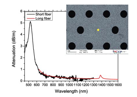 Optical Attenuation Of The Au Nps Doped Pcf Measured By Cutting Back Download Scientific