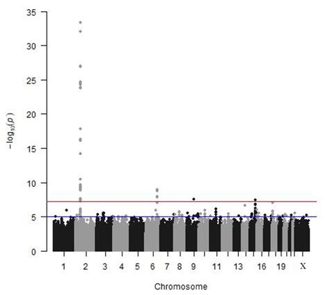 a manhattan plot of log10 p values the red line indicates the