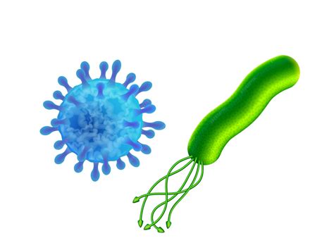 Premium Vector Virus And Bacteria Difference In Structure Of The