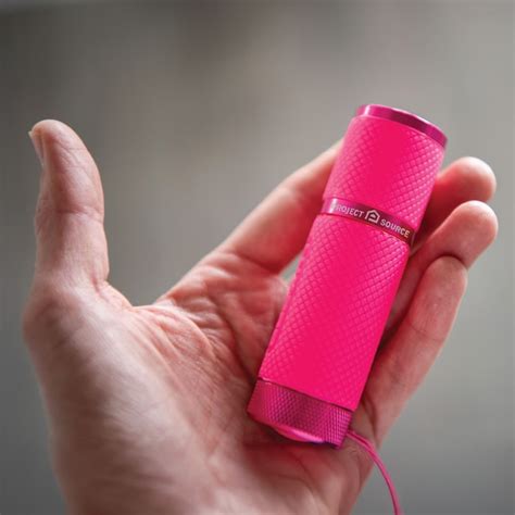 Project Source 40 Lumen 1 Mode Led Flashlight With Batteries Included