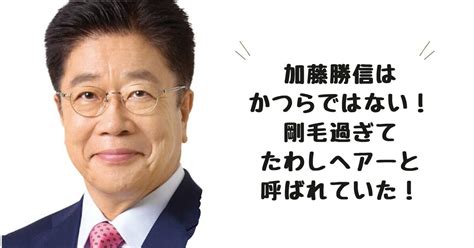 加藤勝信はかつらではない！剛毛過ぎてたわしヘアーと呼ばれていた！ はなんぽ暮らし