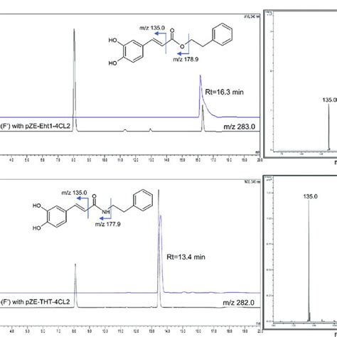 Pdf Engineering A Bacterial Platform For Total Biosynthesis Of Caffeic Acid Derived Phenethyl