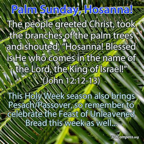 Palm Sunday And Passover 2023 Ty Alexanders 411