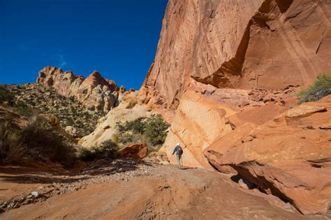 Hike In Utah Stock Image Image Of America Beautiful 260978635