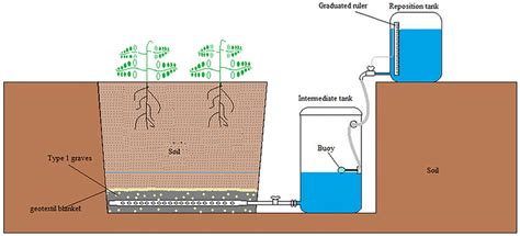 Illustration Of The Groundwater Lysimeter Built Inside The Protected