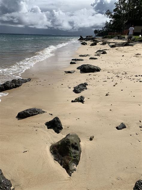 Pin Von Lovequilthawaii Auf Jkbl