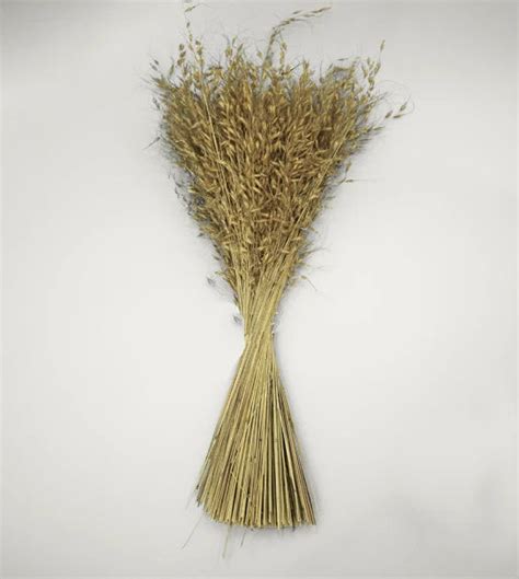 Arrow Grass Preserved Bouquet Quality Growers Floral Company